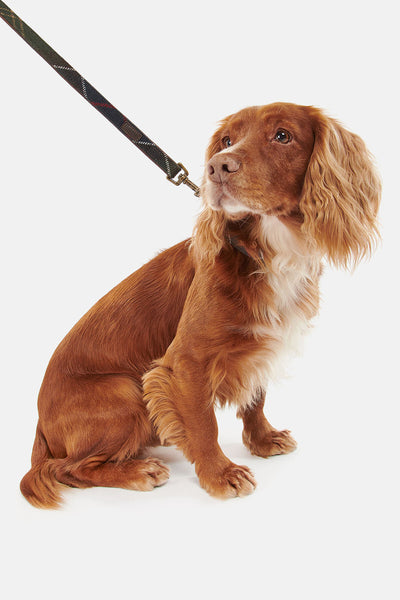 Barbour for Dogs - Collection | WP Store