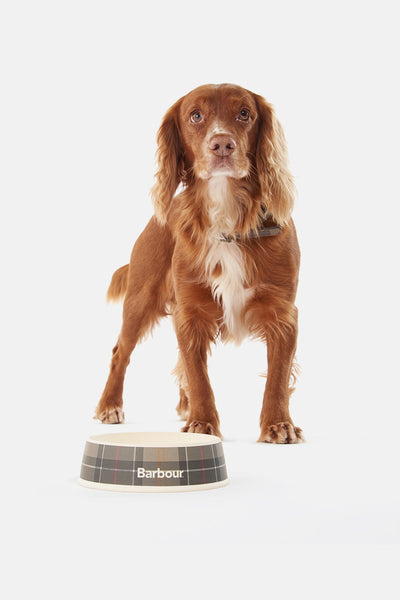 Barbour for Dogs - Collection | WP Store